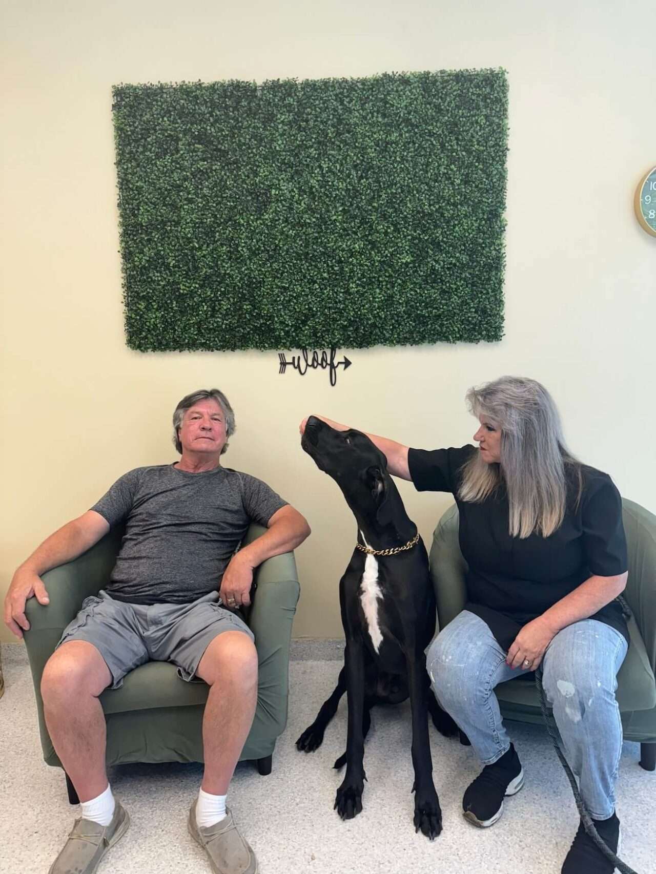 About All Dogs Rock | Dog Training & Pet Hotel Experts